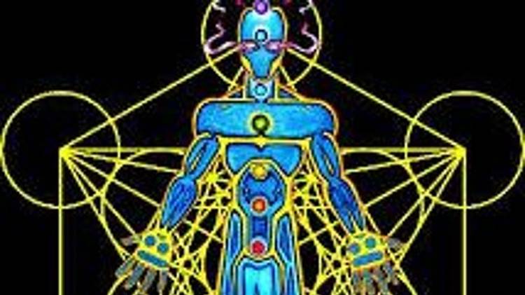 27/10/2024 Индивидуальная сессия Распакетировка новых программ 4D