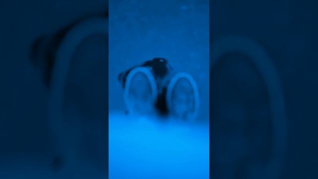 Идёт дождь на улице | LAST EMPIRE - Una Mattina