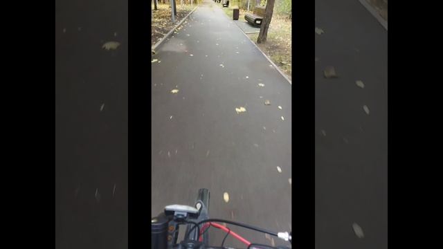 осенняя погода