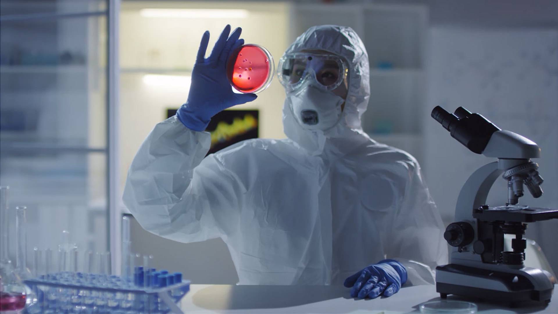 2-2 Бактотэк рус