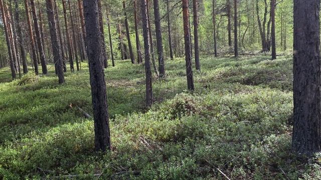 На природе.