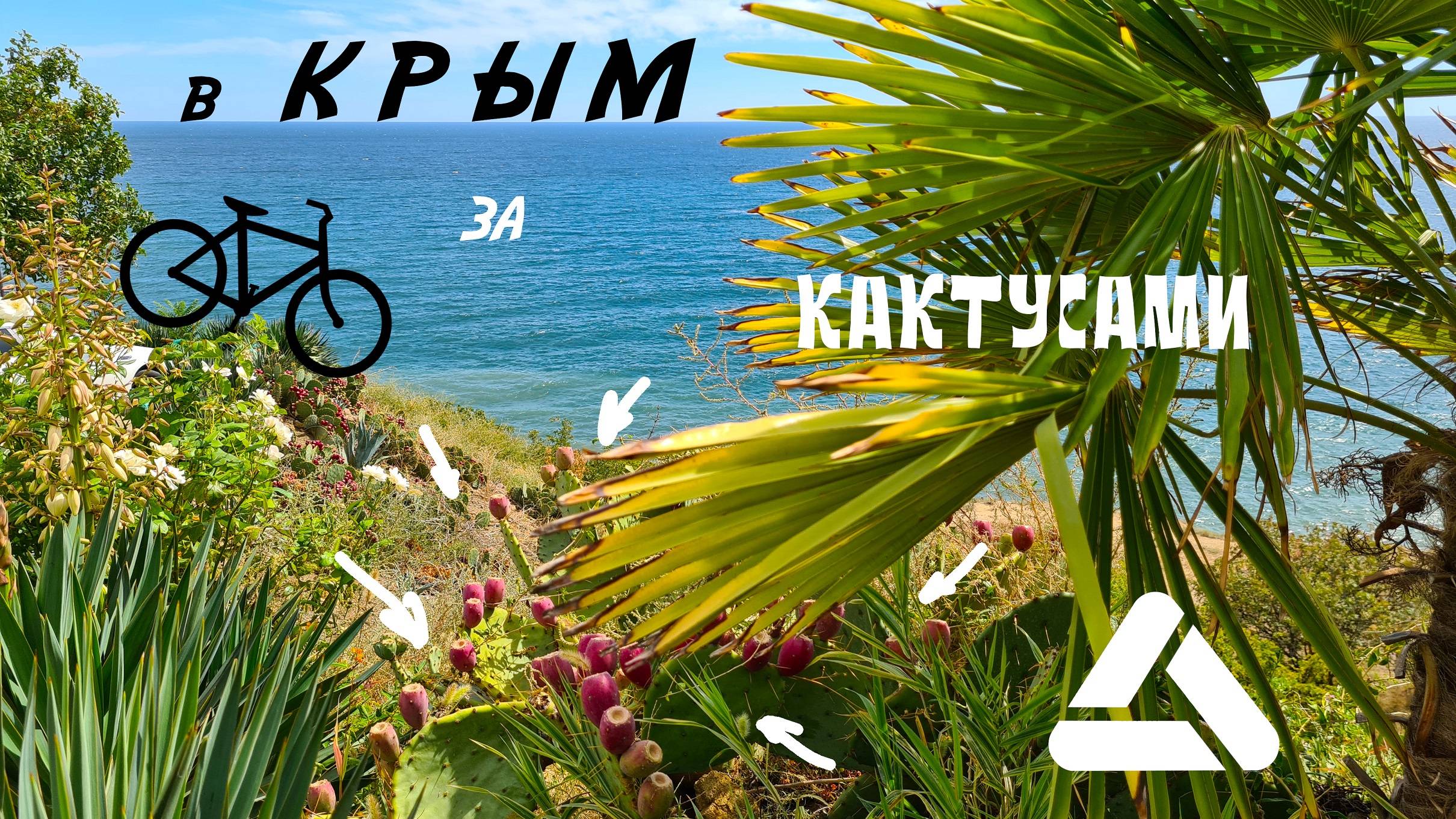 На ВЕЛИКАХ по Крымскому полуострову С ДЕТЬМИ!!! Часть 6. Добрались к призракам в Долине Приведений.