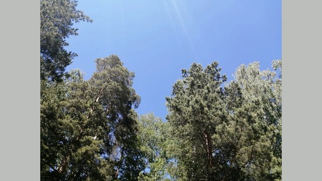 Ты можешь.. стихи для души