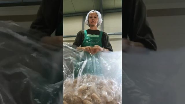 РАБОТА В КОРЕЕ. ЗАВОД ПЕЧЕНЬЯ. ДЕНЬ 16.