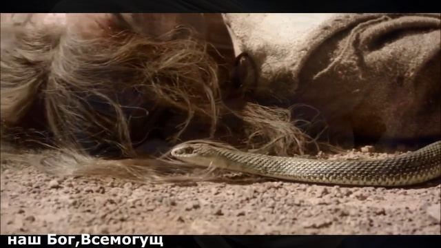 Наш Бог, Всемогущий Бог.(Автор: Рич Маллинз.)Прославление.