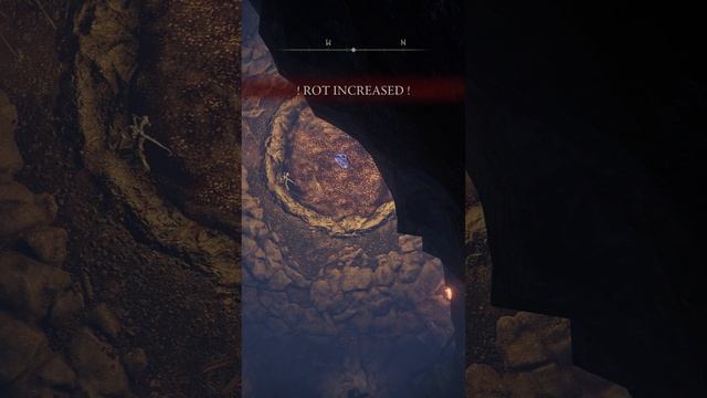 Ошибка Пингачка №2(Elden Ring)