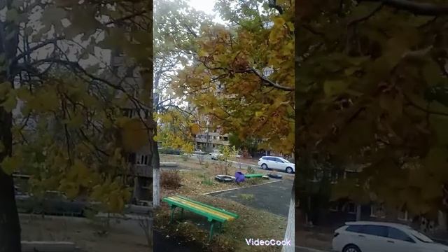 Мы ищем на Ж/Д вокзале ПЛОЩАДКИ и в конце забираемся на ГОРУ!