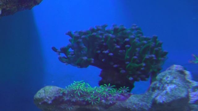 Часть 23 Музыка и море