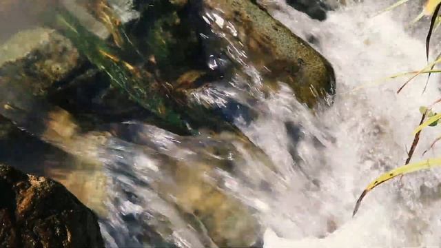 Музыка флейта. Слушать 18 минут