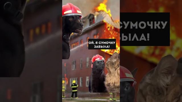 как спастись во время пожара #юмор #memes #shorts