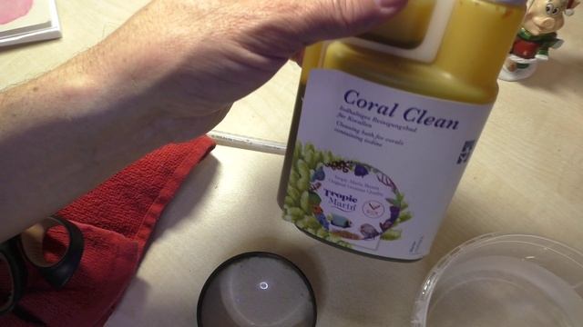 Часть 33 Как купить новый коралл