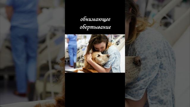 Как животные лечат людей