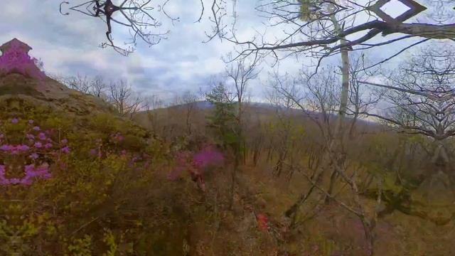 Сопка Змеинная 02.05.2021