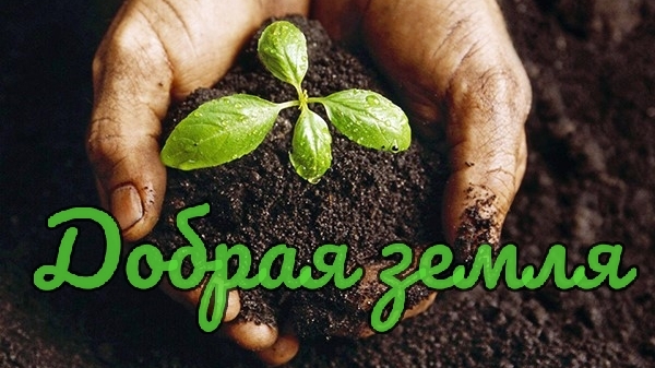 "Добрая земля", проповедует Константин Облицев