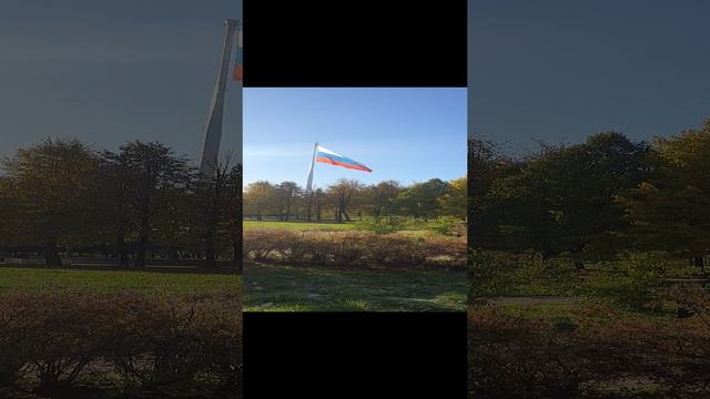 Родной флаг.mp4