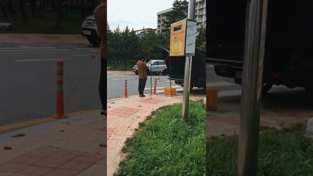 РАБОТА В КОРЕЕ. ВЫХОДНОЙ. ДЕНЬ 4