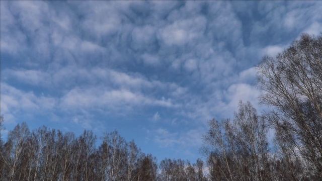 Живая Природа. Небо с облаками. Таймлапс