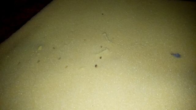 Дырявим поролон - 06.02.2017