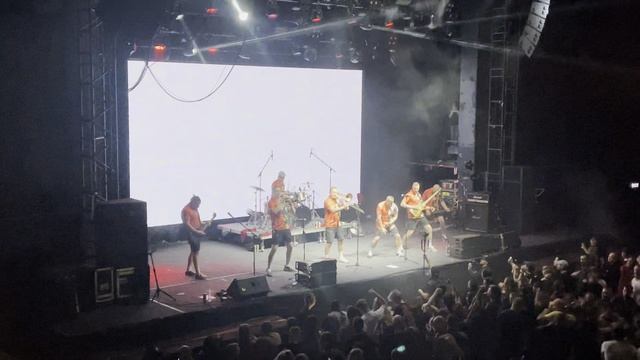 CWT - Ска (Без палева)