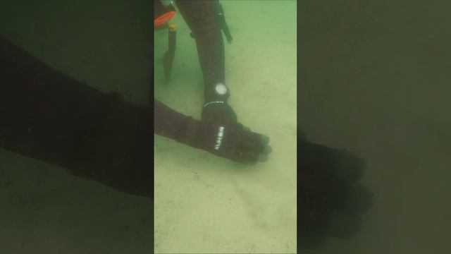 Красивая находка