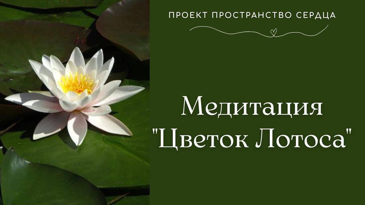 Медитация Цветок Лотоса.