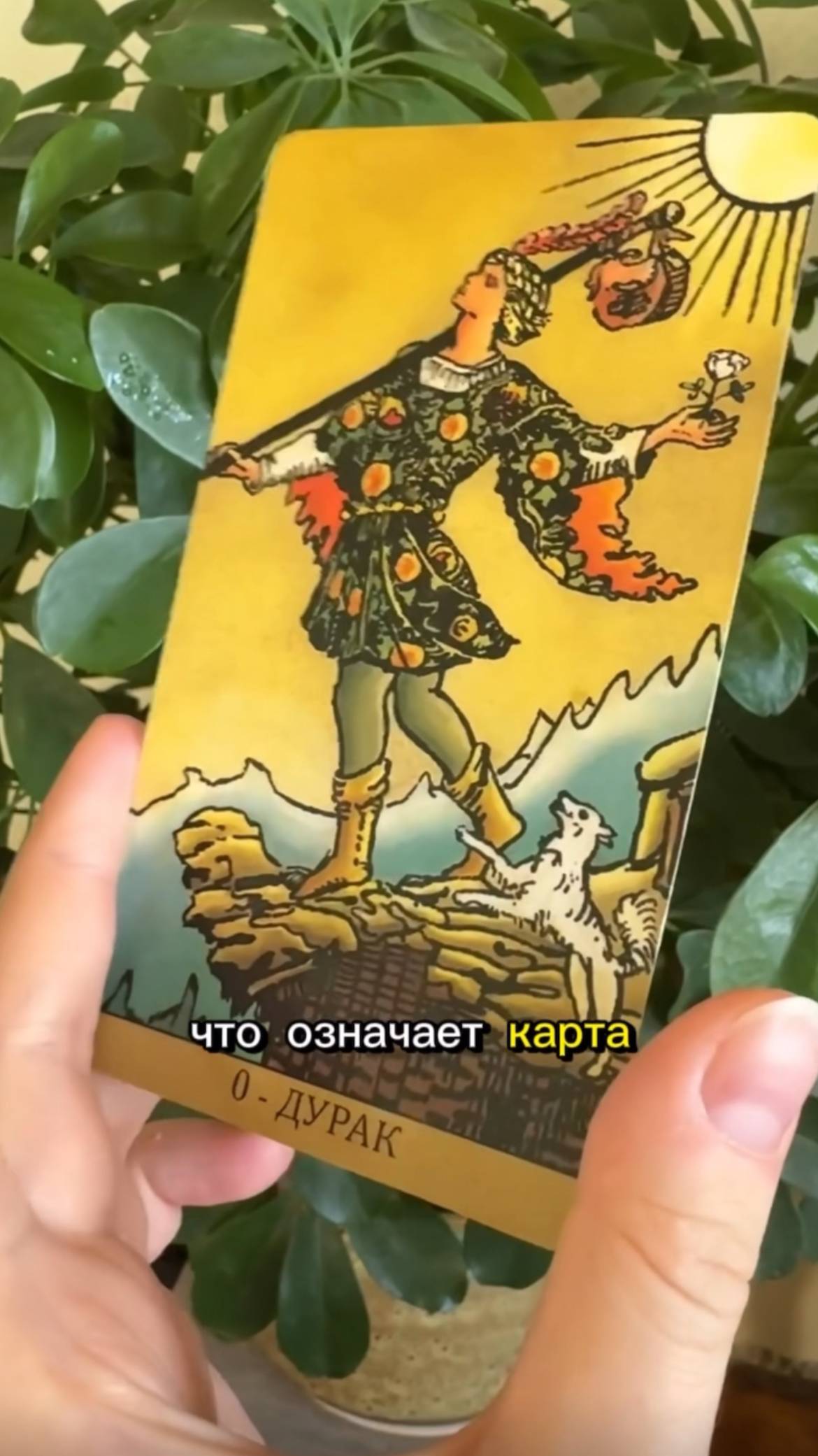 Значение 0 карты Таро Уэйта Дурак #картытаро