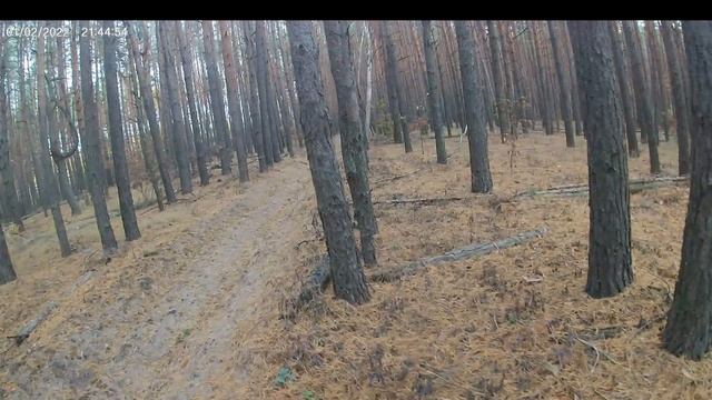 спортивное арентирывание.Я потерялся!