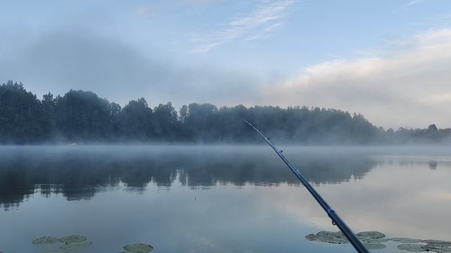 о.Б август 2024  VID_20240802_052003