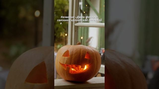 Хэллоуин. Факт про ''Джек-фонарь''🎃
