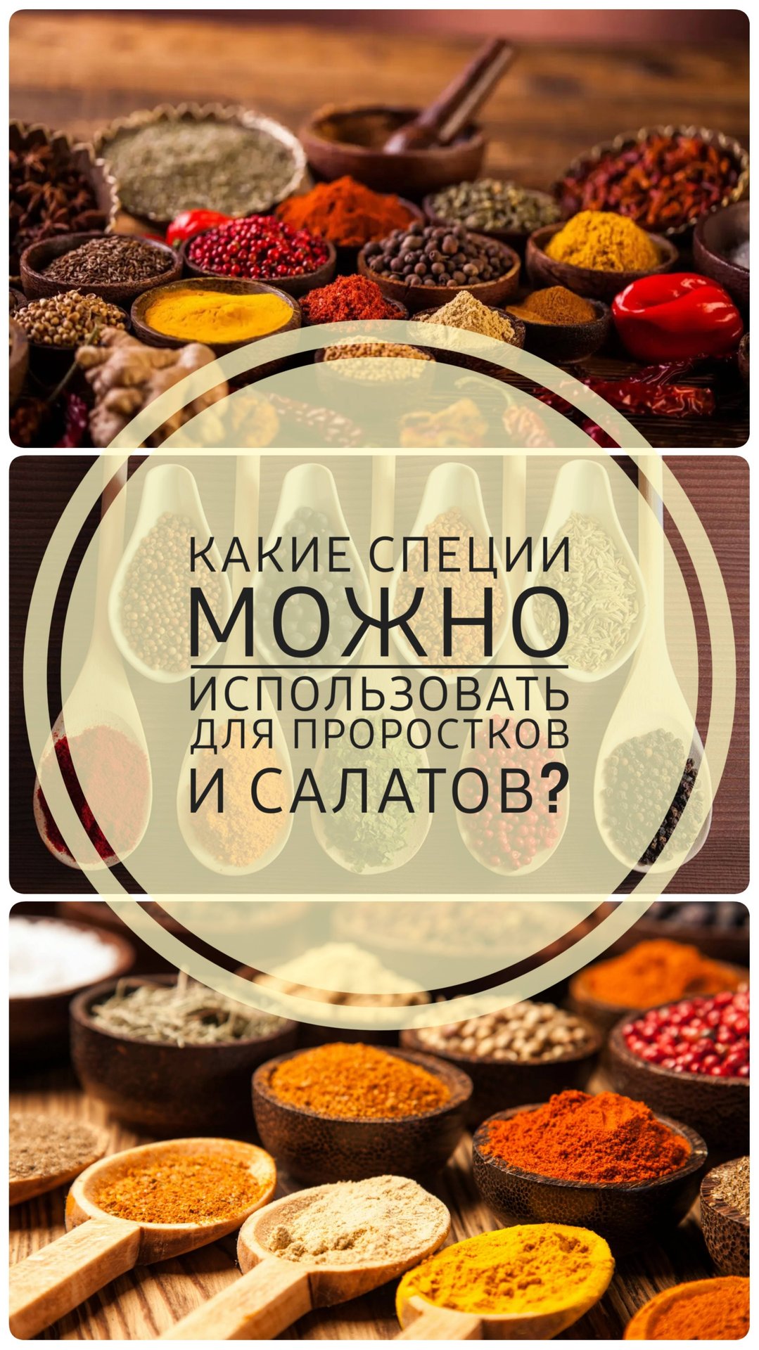 Какие специи можно использовать для проростков и салатов? 

#зож #проростки #специи #пп