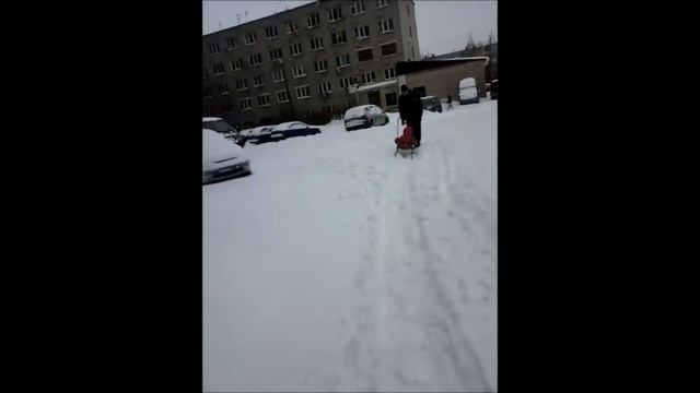 Жизнь за МКАДом - Сугробы и физкультура с детьми