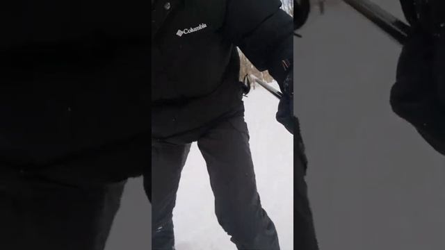 горки в Тучково