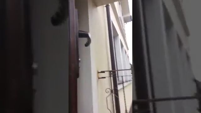 Замена замка на пластиковой двери Roto 30067289 на 630965