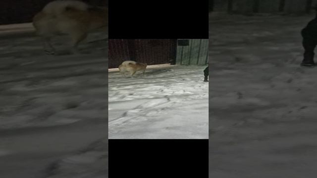 мне не страшно я не одна