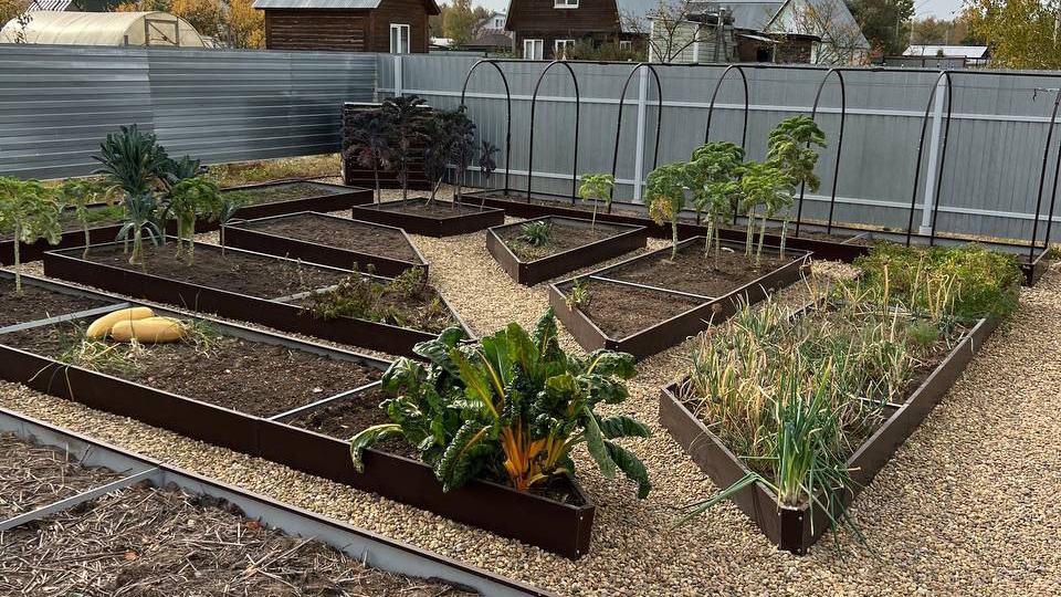 Красивые грядки в огороде