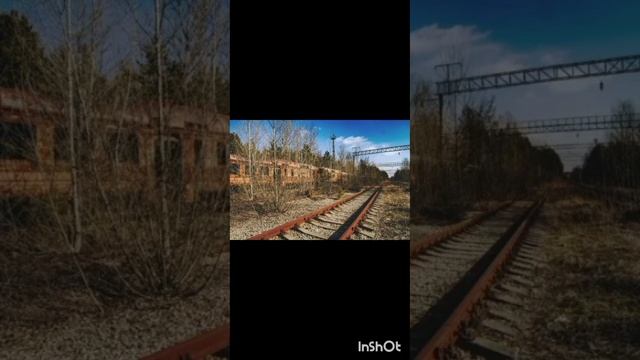 Монстры тревора:история