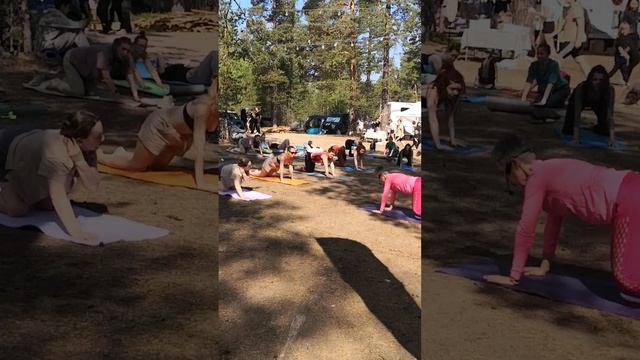 Йога hallo_camper