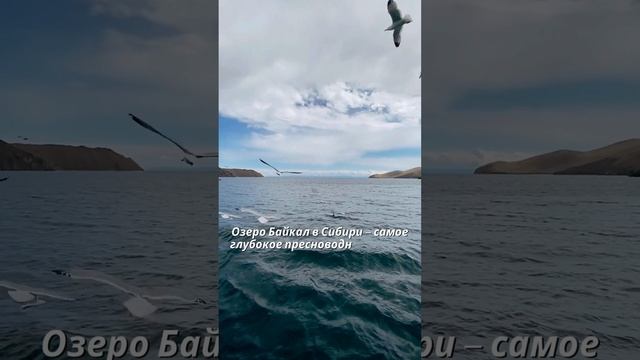 Факт про озеро Байкал