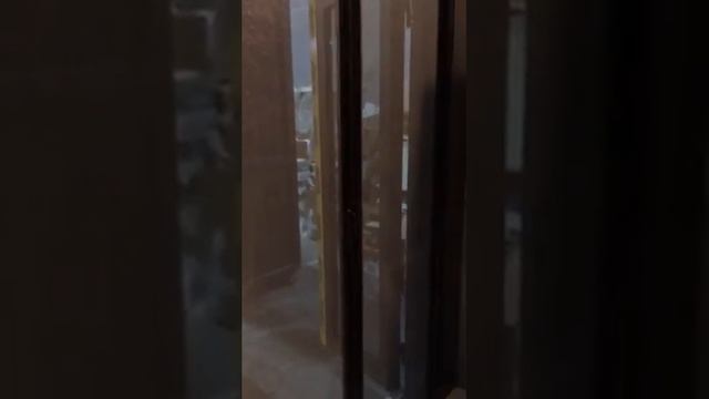 Дверь сетка Genius двойная коричневая