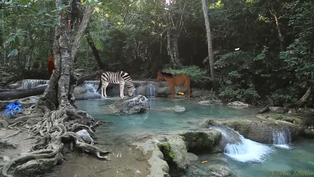 Детская колыбельная мелодия малыш засыпает за несколько минут. #сезонконтентаRUTUBE