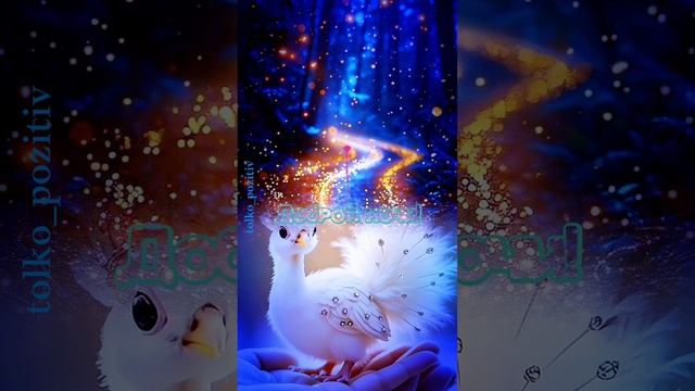 Доброй ночи!