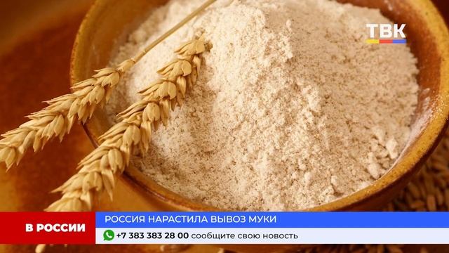 Программа "Дайджест" 28-10-24