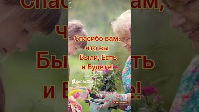 С Днём бабушек и дедушек! ❤💐#праздник#внуки#семья#shorts