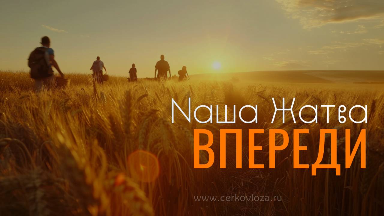 Наша жатва впереди