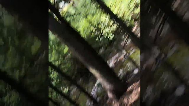 Переделкино-Апрелевка