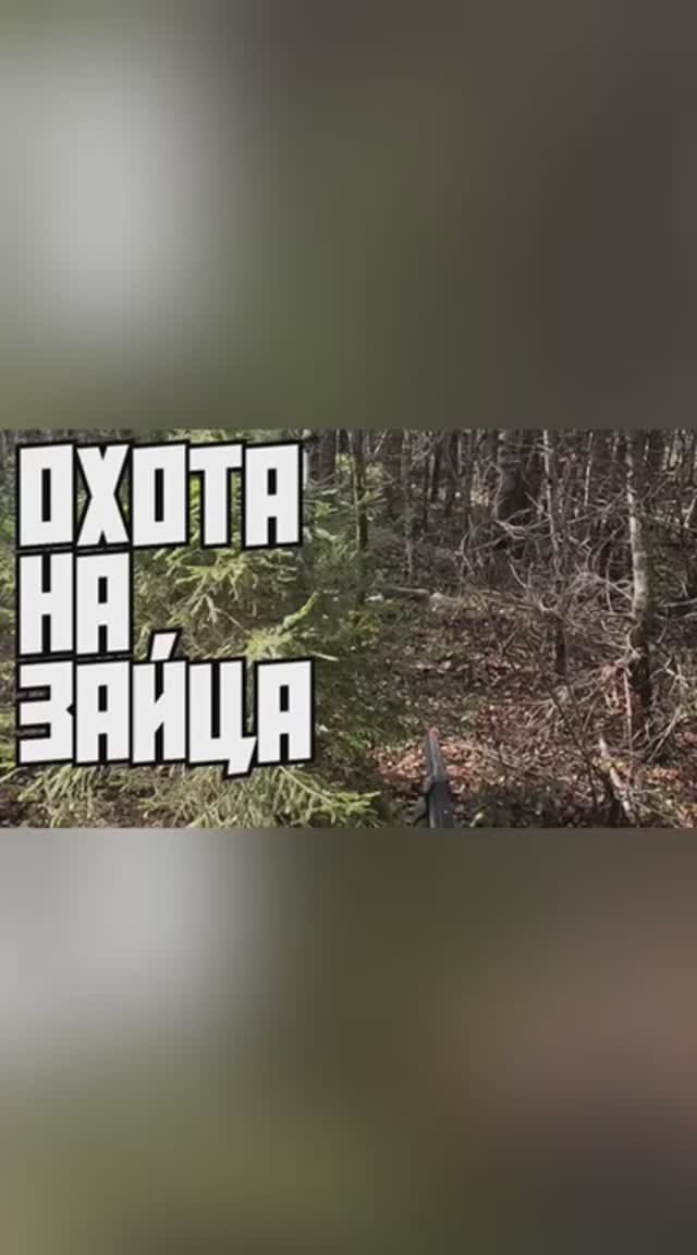 Охота в Кировской. +18