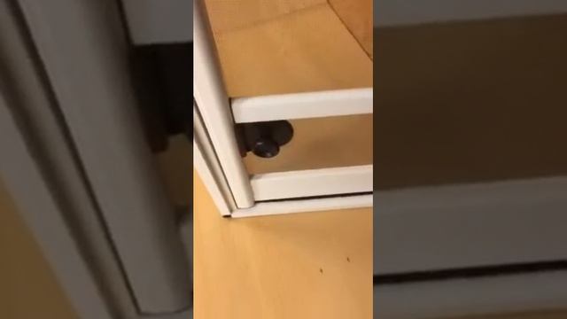 Дверная москитная сетка на петлях  усиленная Araknis