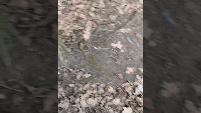 Тучковские картеры 2024