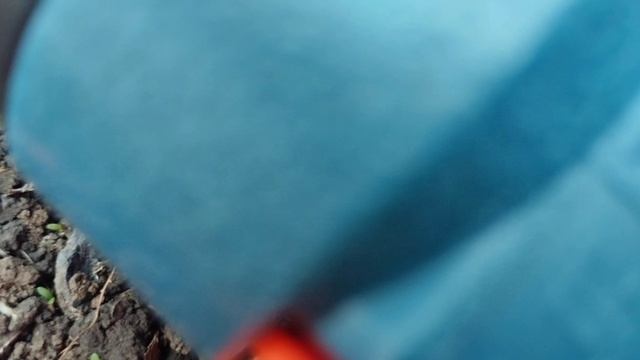 Слитый кадр нового фильма