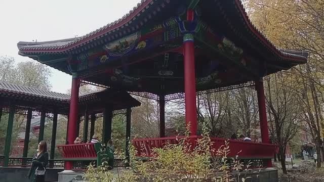 Парк Хуамин. Китай в Москве. Прогулка по парку.